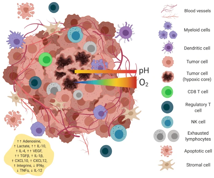 Tumor Microenvironment: Key Components and Molecular Pathways