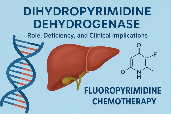 Dihydropyrimidine Dehydrogenase (DPD): Role, Deficiency, and Clinical ...