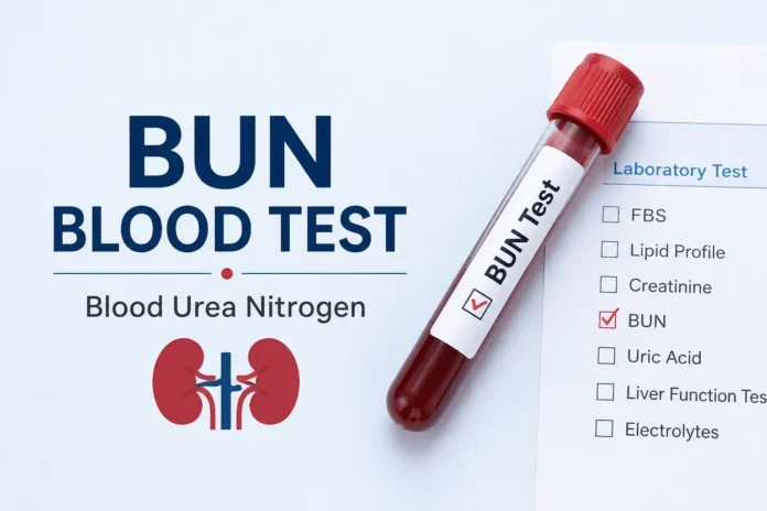 BUN Blood Test: Normal Levels, High & Low Causes Explained